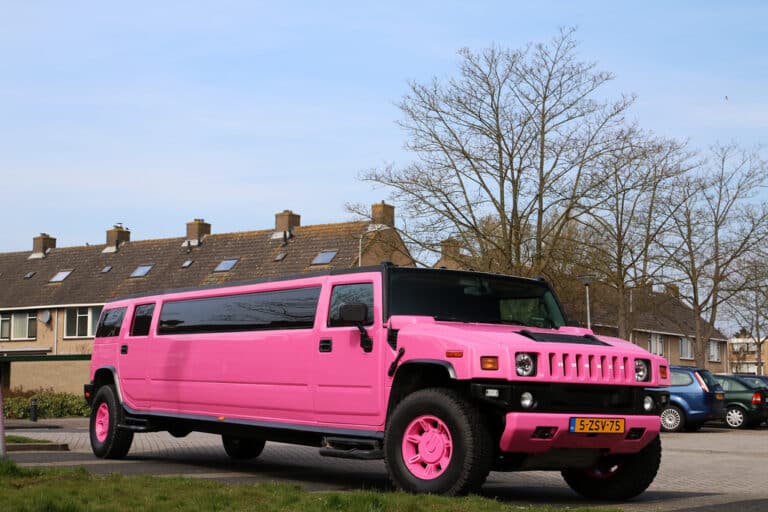 Unforgettable Rides: 5 Fun Kids' Limo Party Ideas | BBZ Limo